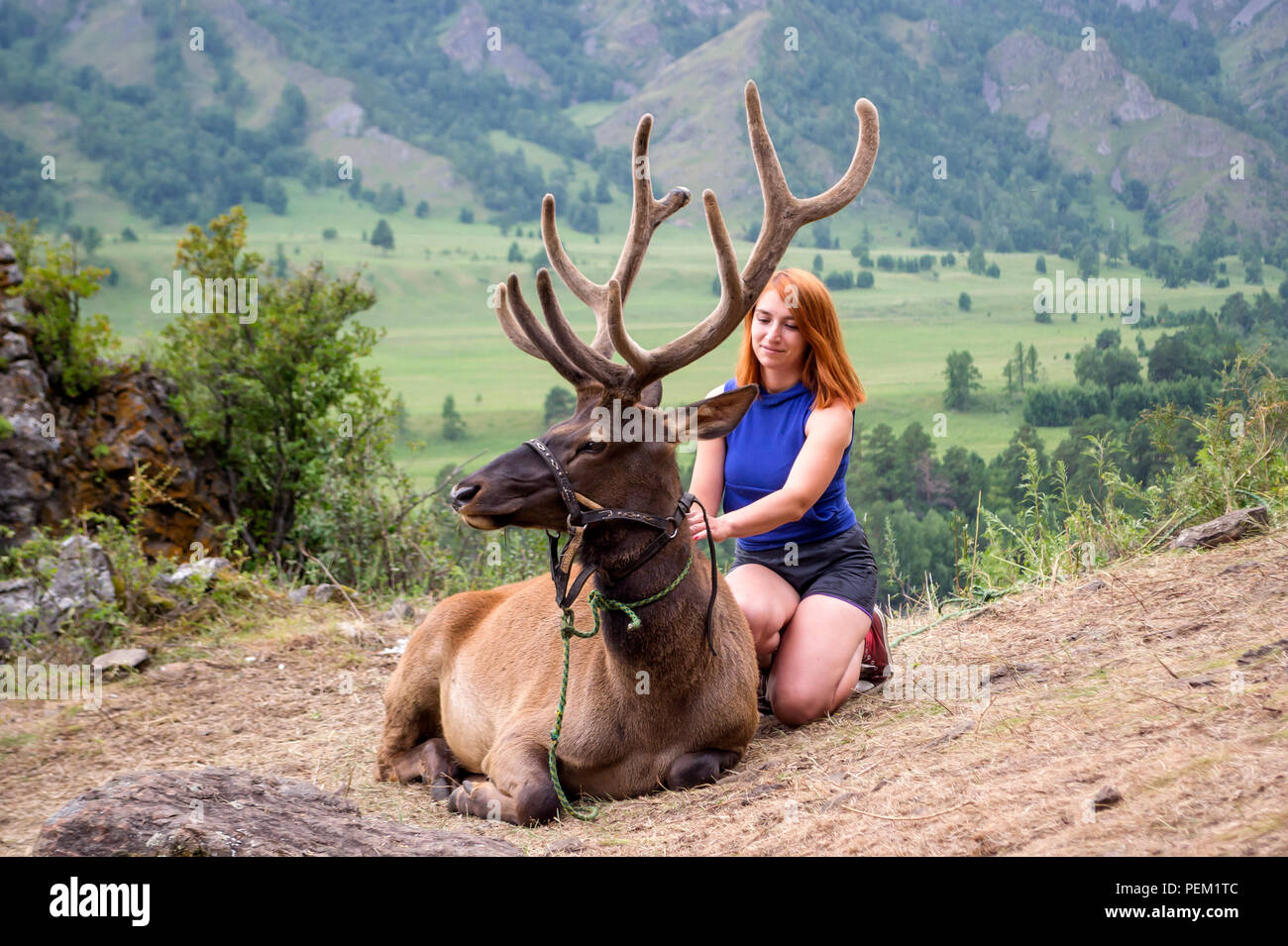 A young red-haired girl dressed in sports clothes stroking the horns ...