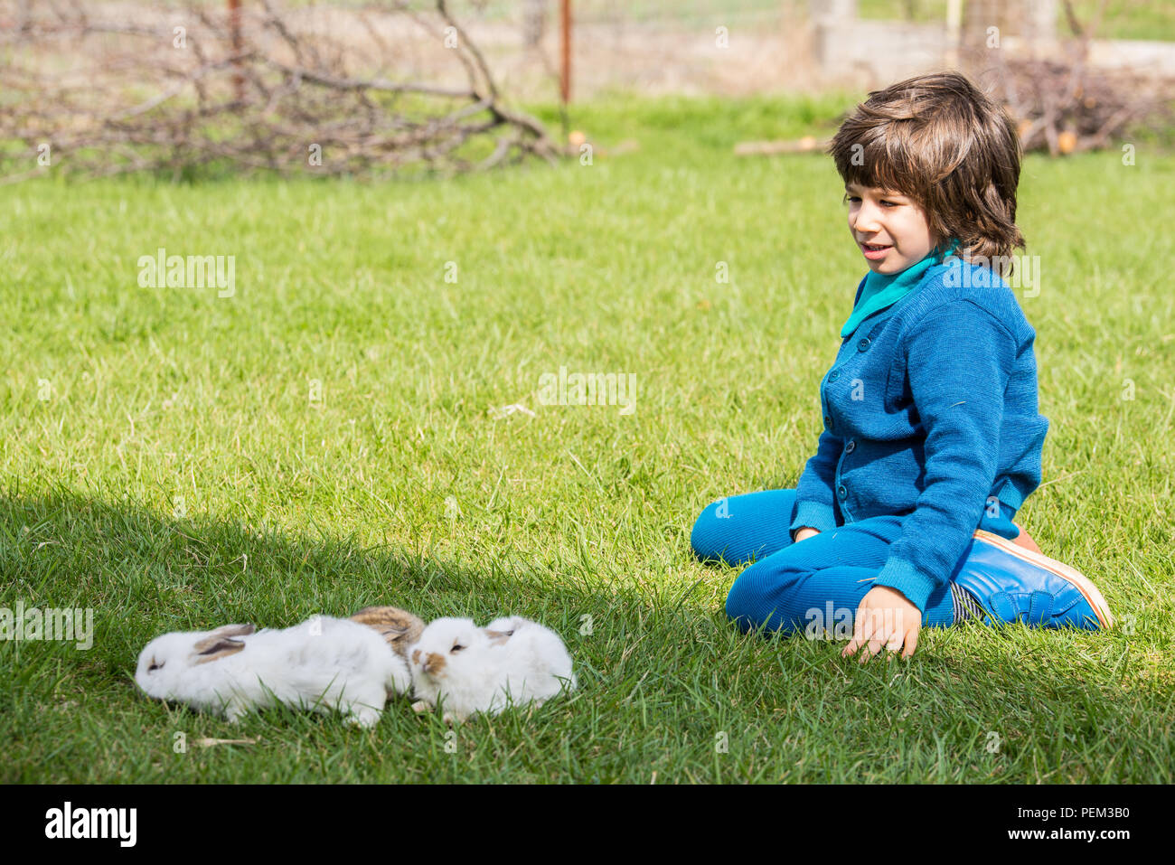 Little rabbits hi-res stock photography and images - Alamy