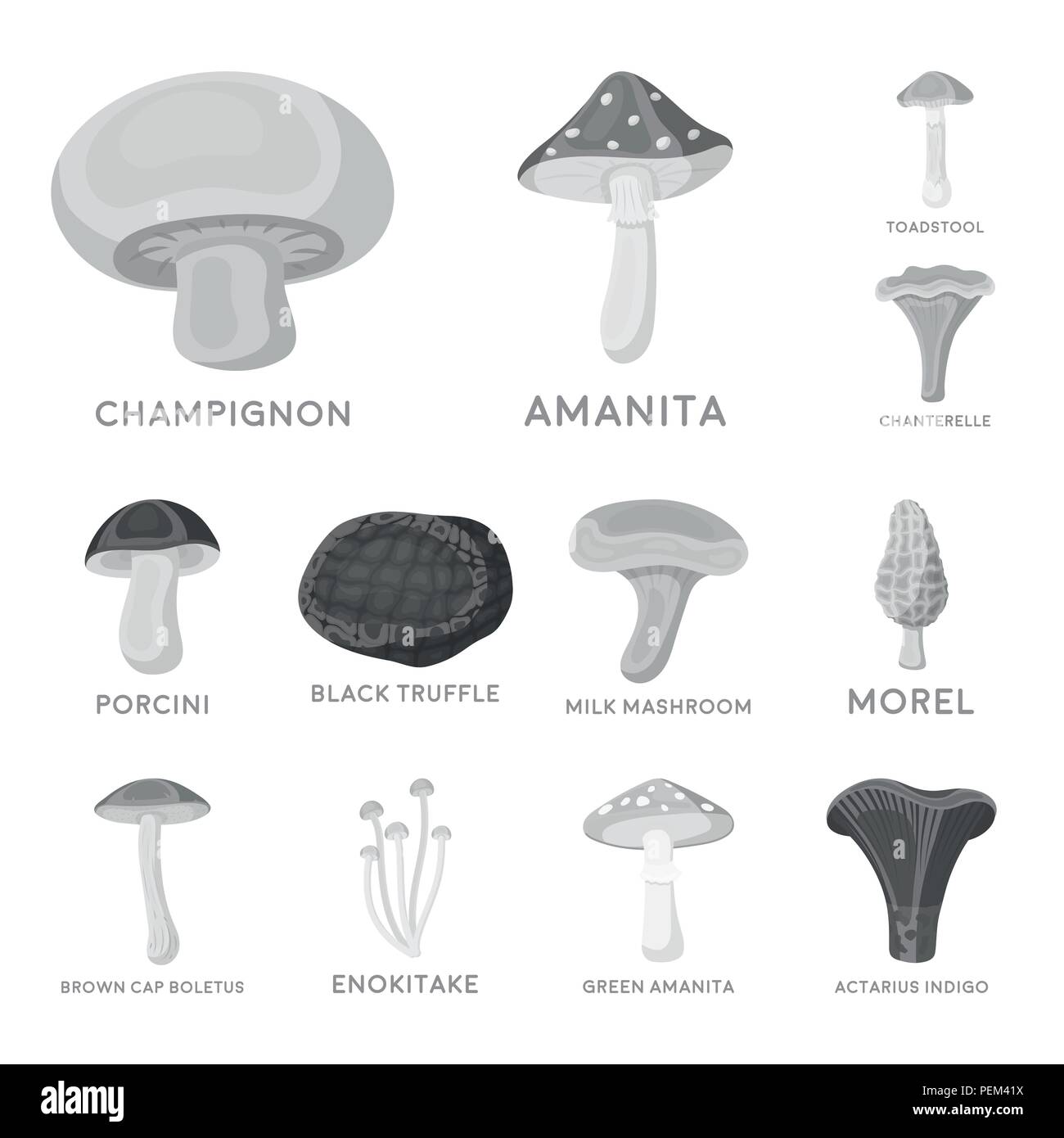 Poisonous and edible mushroom monochrome icons in set collection for ...