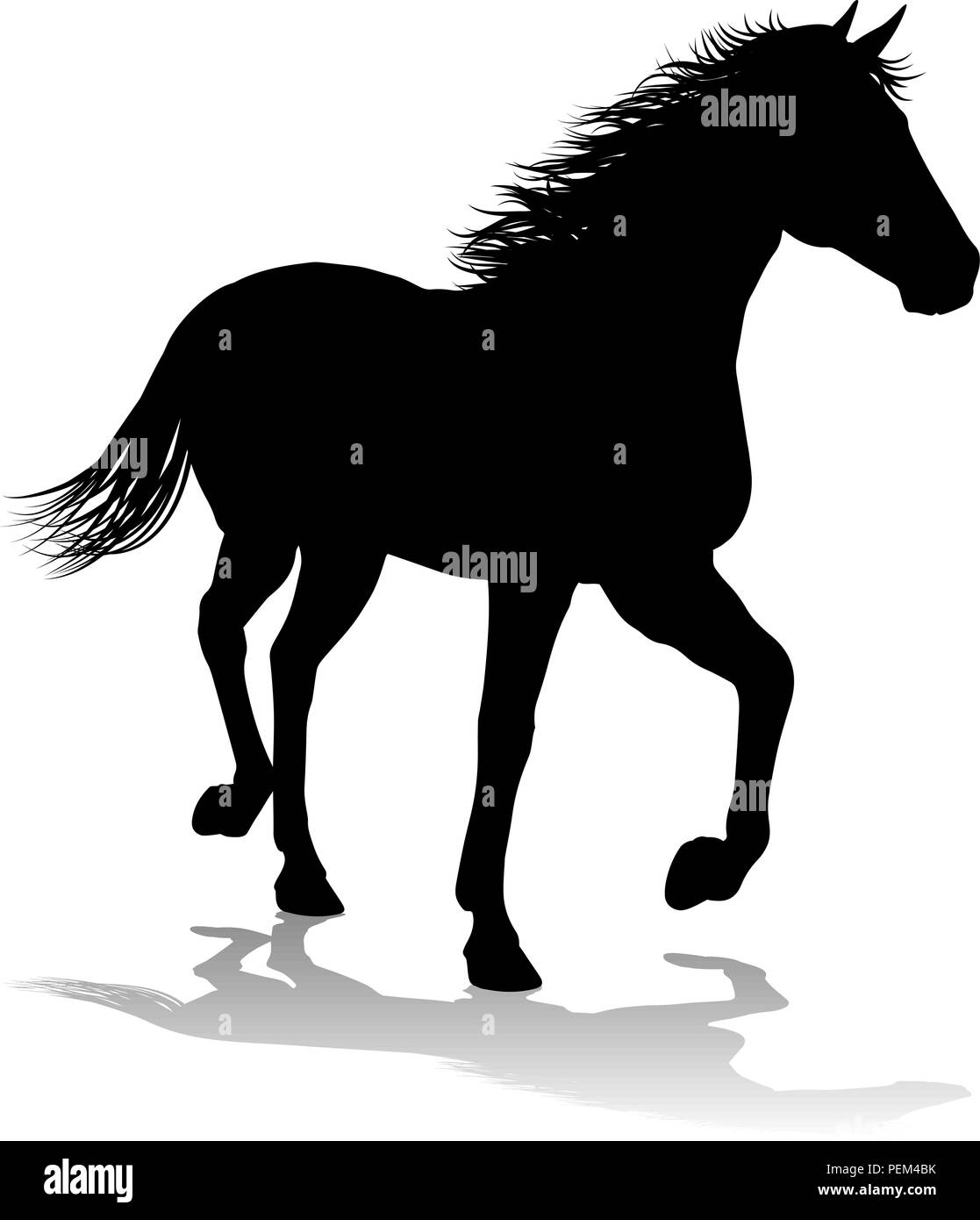 Bucking horse silhouette hi-res stock photography and images - Alamy