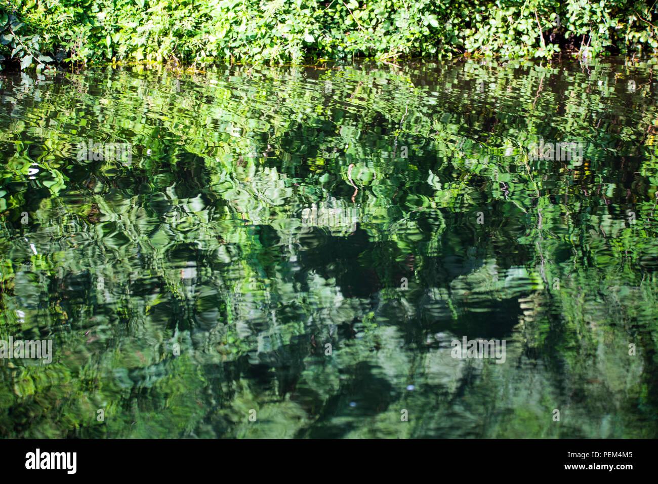 Beautiful reflection of evening sunlight on the Chichester Canal near ...