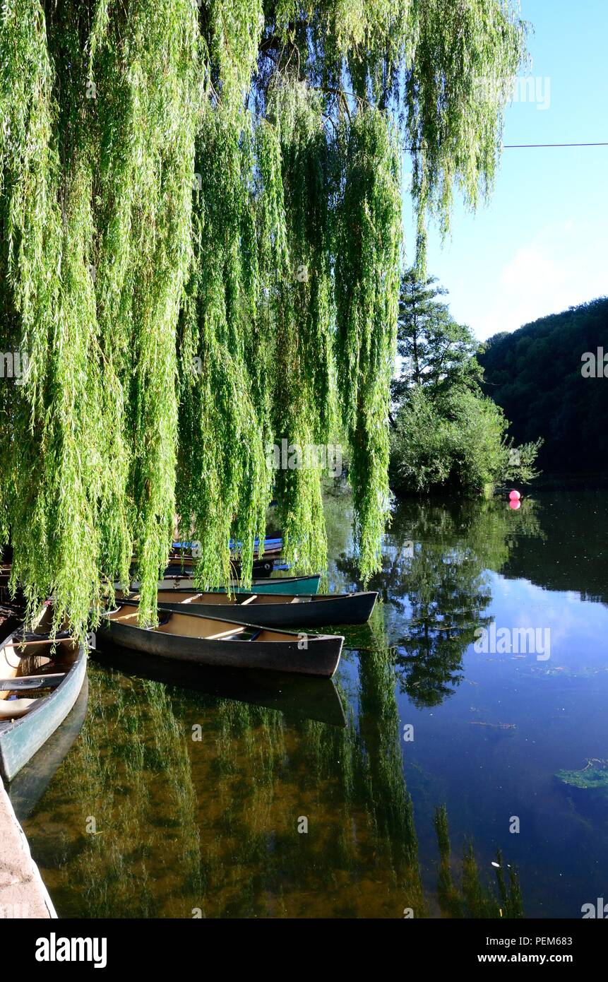 Under the willow tree hi-res stock photography and images - Alamy