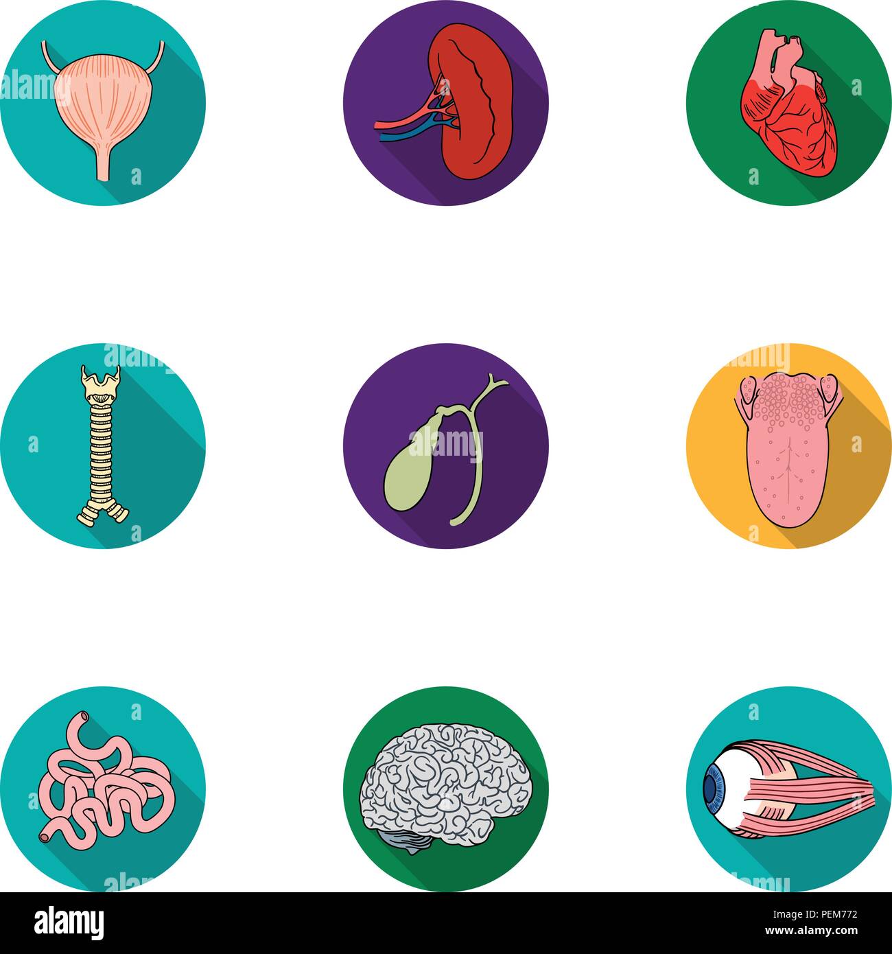Human organs set icons in flat design. Big collection of human organs ...
