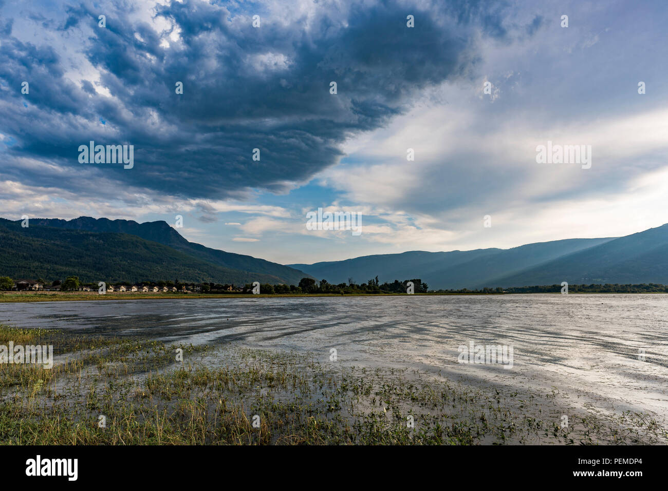 Salmon Arm Bay, Salmon Arm, British Columbia, Canada Stock Photo - Alamy