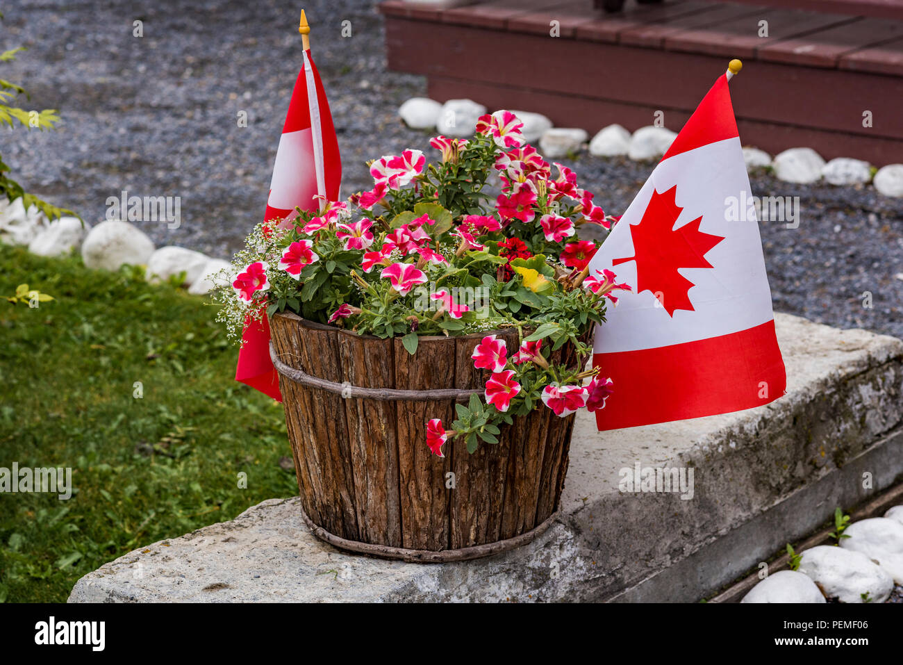 Garden planter with flowers and Canadian flags Stock Photo - Alamy