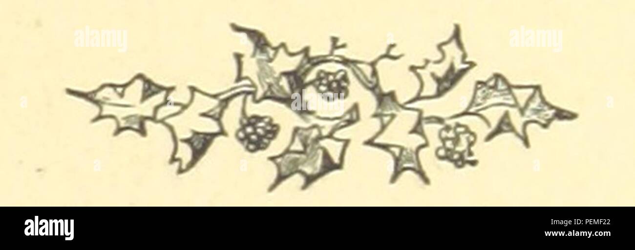 Historic archive Image taken from page 243 of 'The Illustrated Family ...
