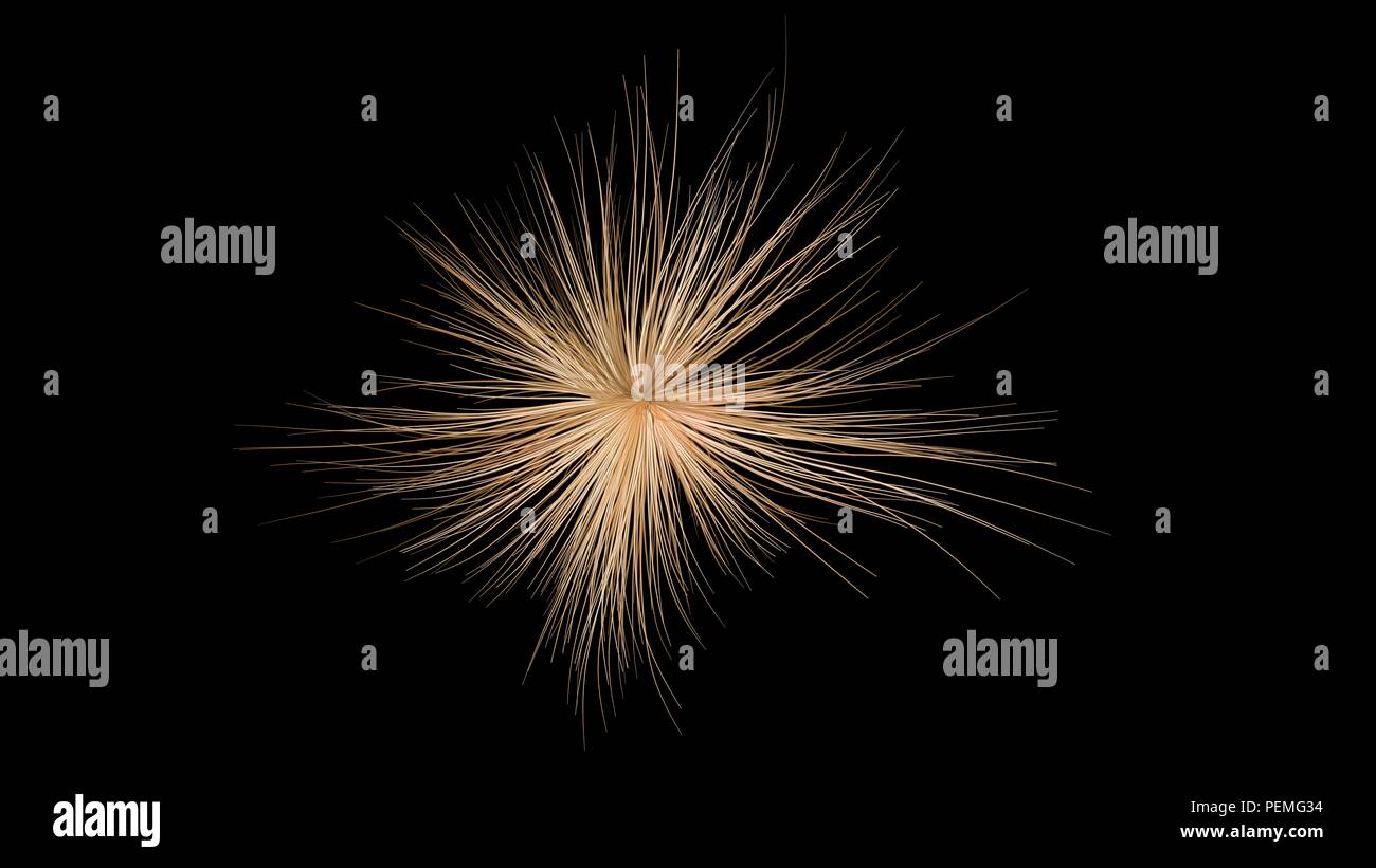 starfish, flower form with graceful waving arms, tendrils, tentacles ...