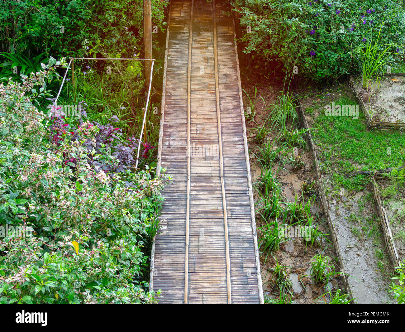 Wooden bridge walkway. Bamboo Bridge with tree and flower park and ...