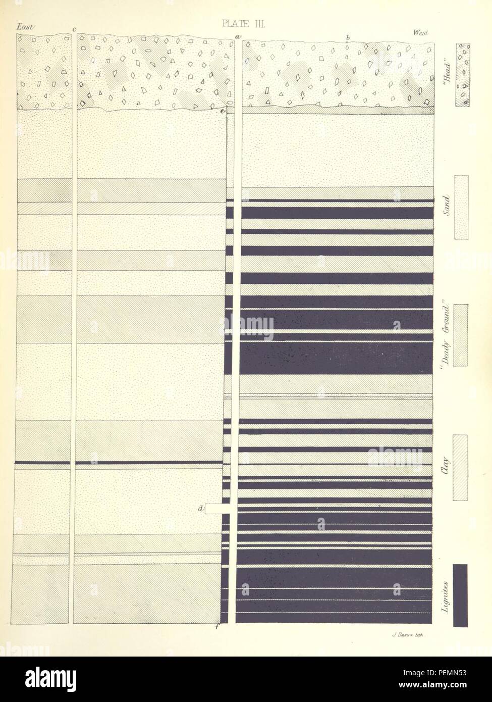 page 47 of 'On the lignite formation of Bovey Tracey, Devonshire ...