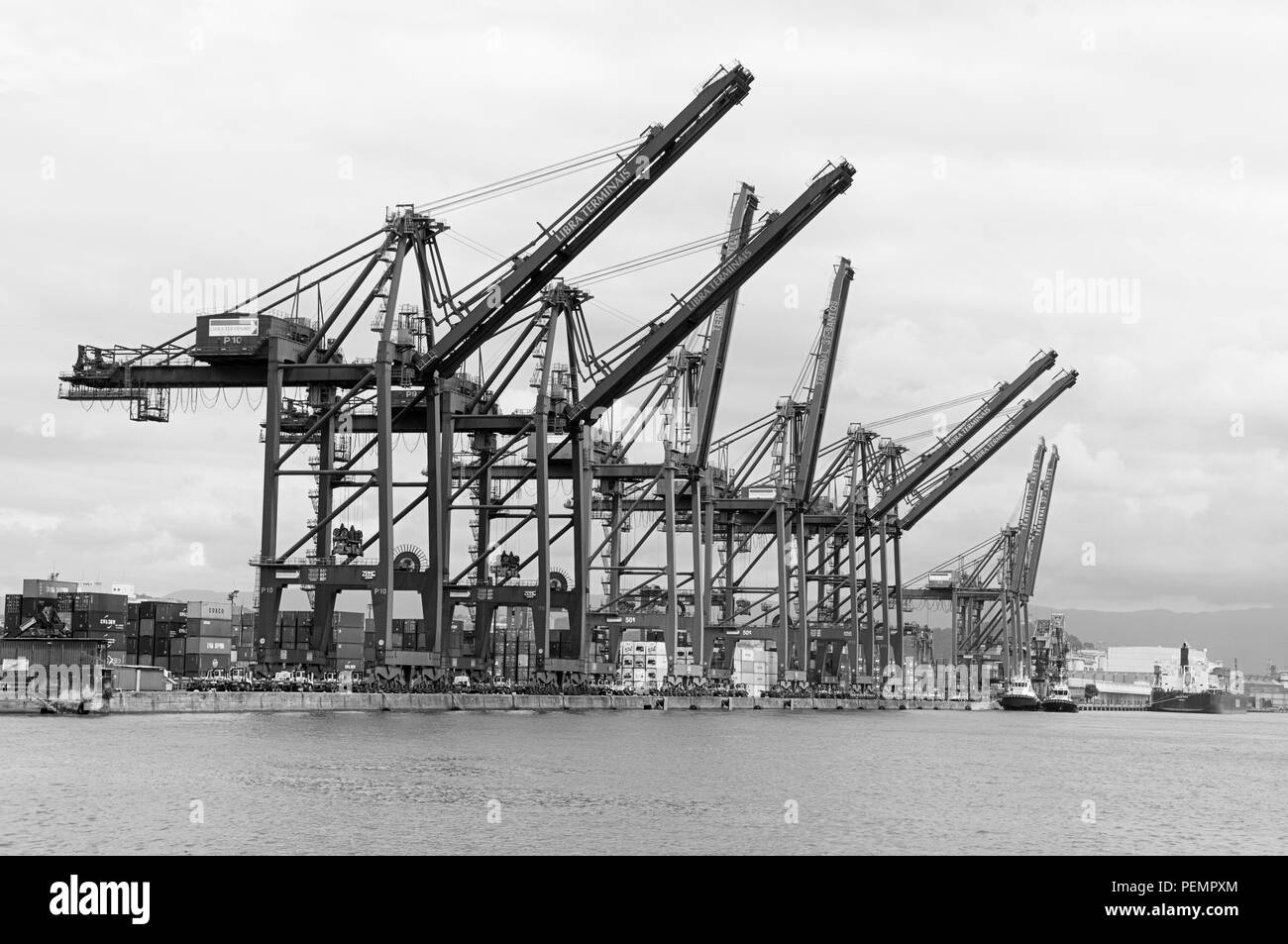 Container Ports In Brazil at Abbey Beatty blog