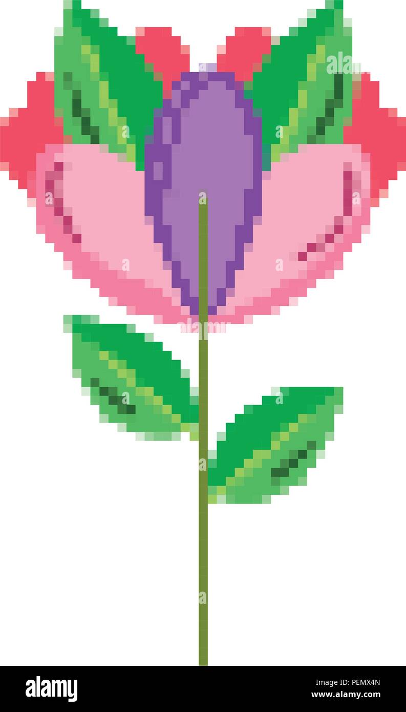 Pixelated blooming flower decoration hi-res stock photography and ...