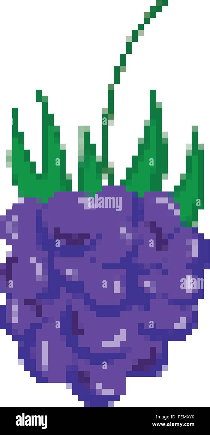 pixelated delicious grapes fresh fruit nutrition Stock Vector Image ...