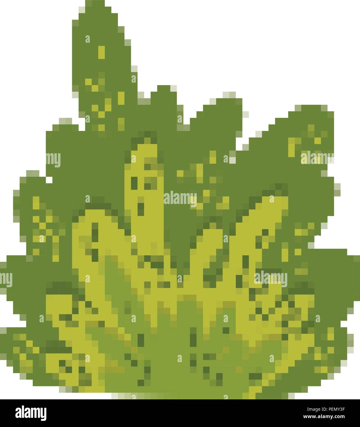 Tropical plants landscaping Stock Vector Images - Alamy