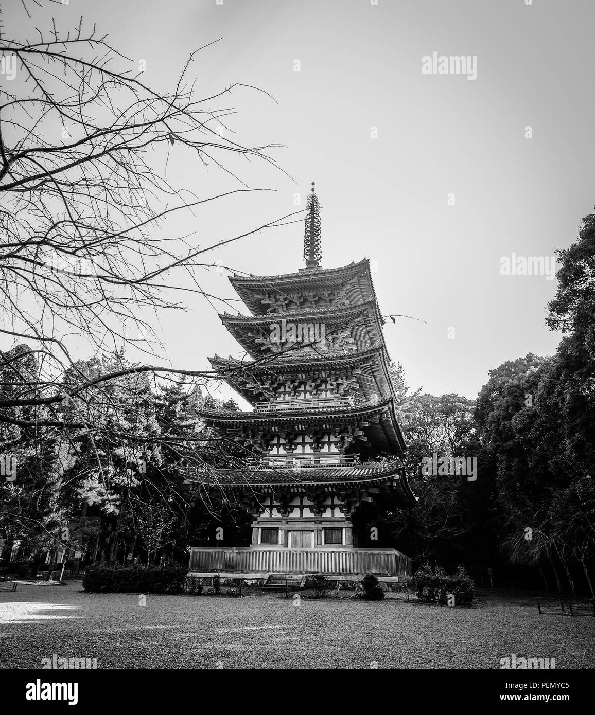 Five storey tall Black and White Stock Photos & Images - Alamy