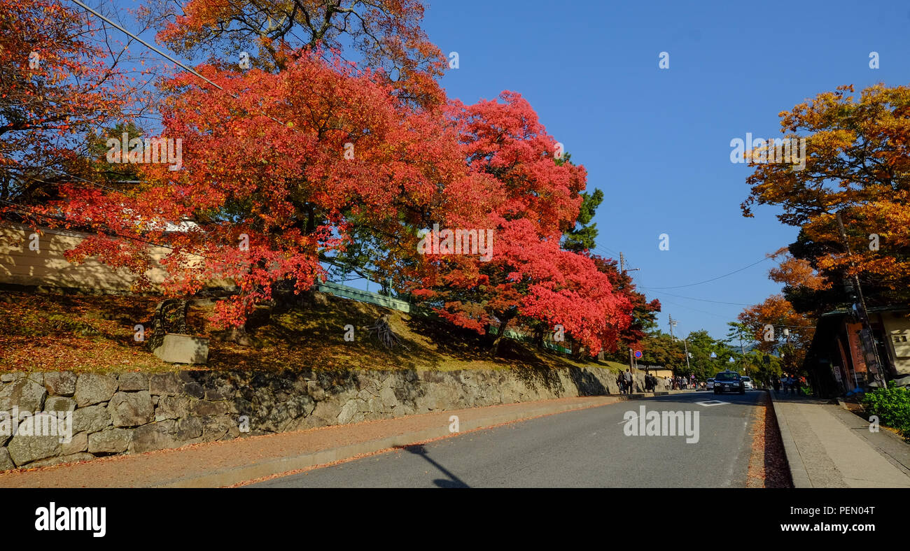 Nara, Japan - Nov 18, 2016. Street at autumn in Nara, Japan. Nara ...
