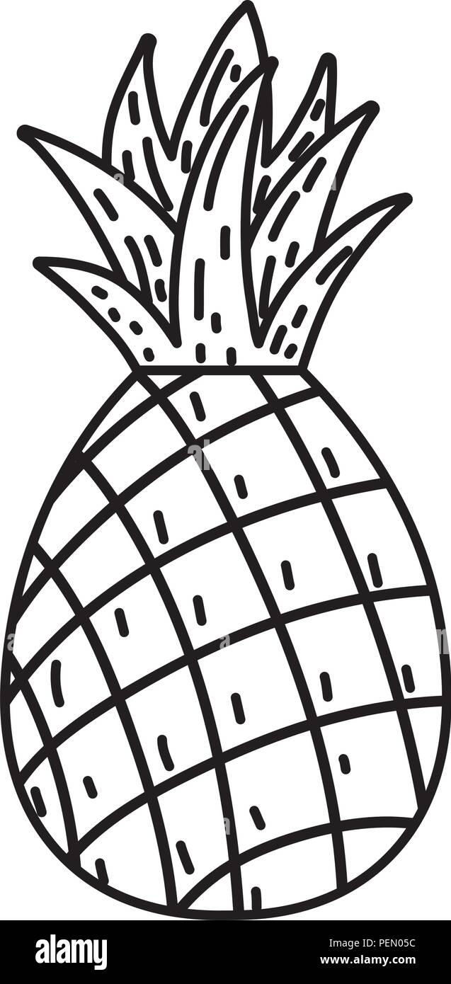 Line healthy pineapple delicious hi-res stock photography and images ...