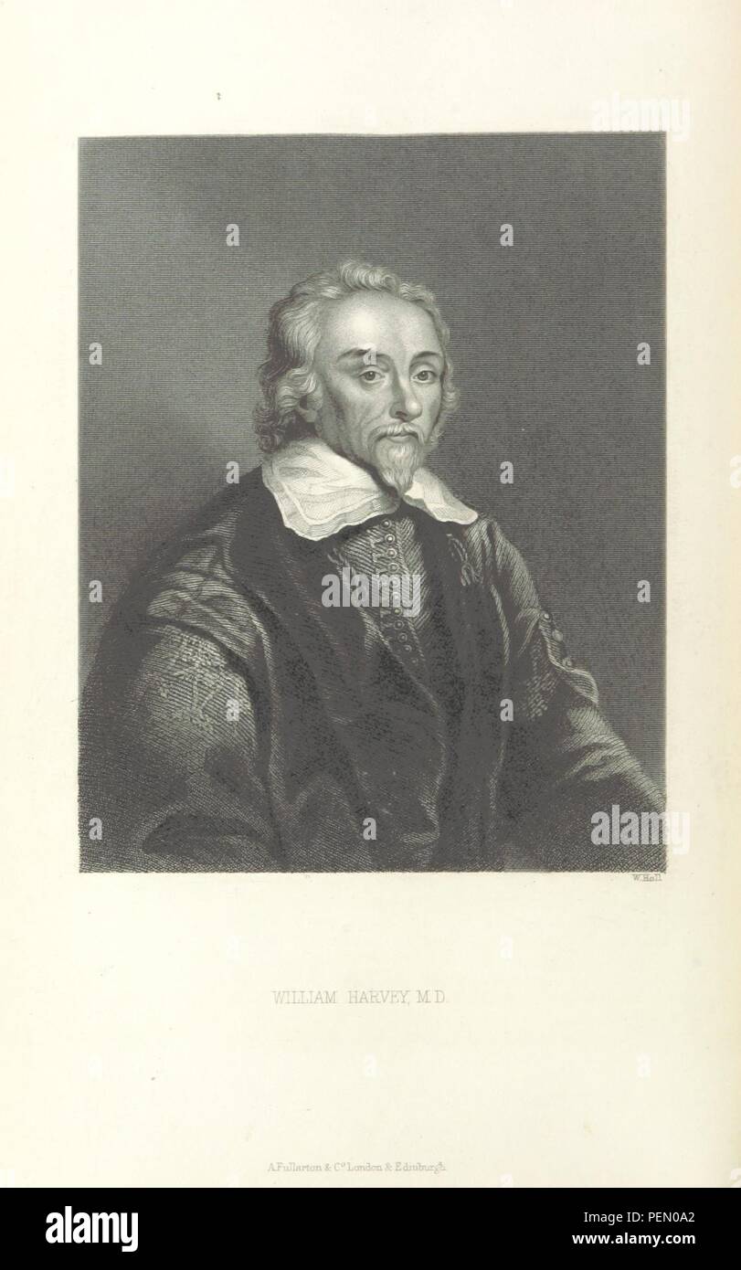 4293 series hi-res stock photography and images - Alamy