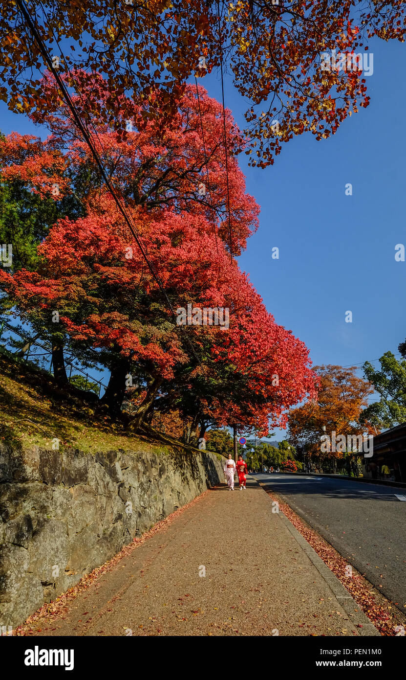 Nara, Japan - Nov 18, 2016. Street at autumn in Nara, Japan. Nara ...