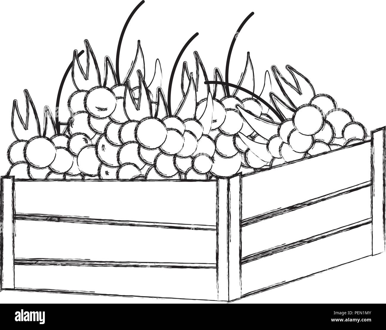 grunge delicious grapes fruit inside wood basket Stock Vector Image & Art - Alamy