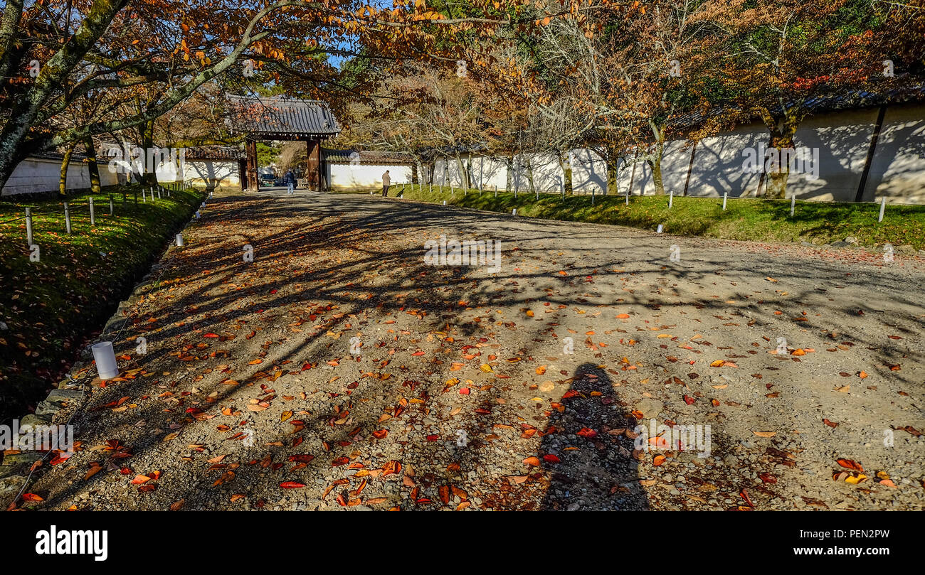 Autumn trees at ancient garden in Kyoto, Japan Stock Photo - Alamy