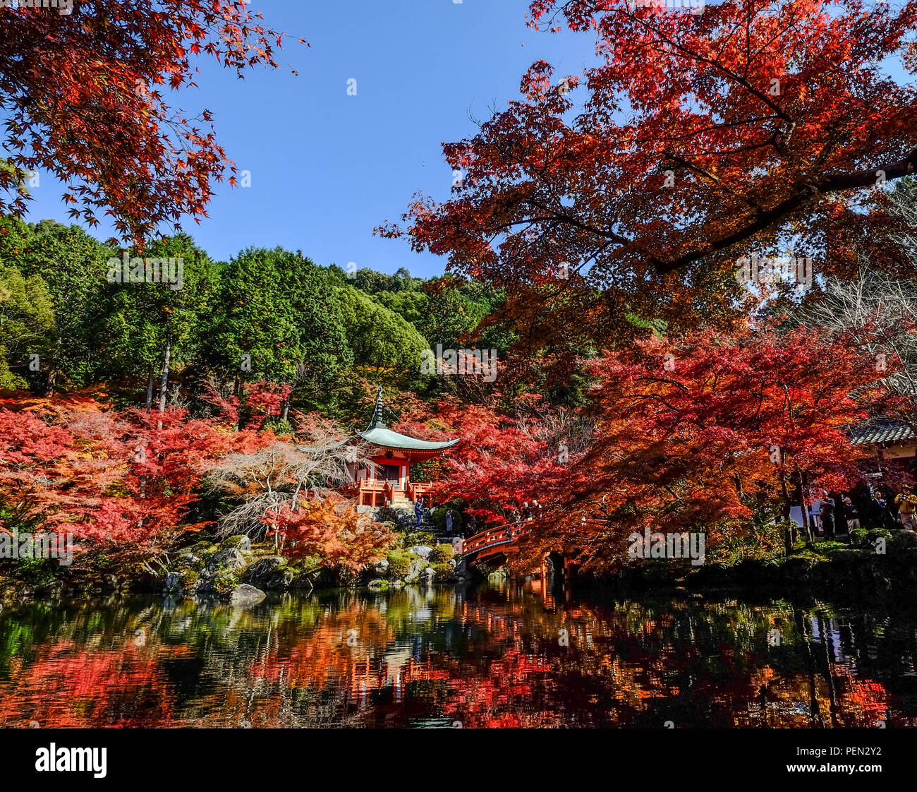 Autumn trees at ancient garden in Kyoto, Japan Stock Photo - Alamy