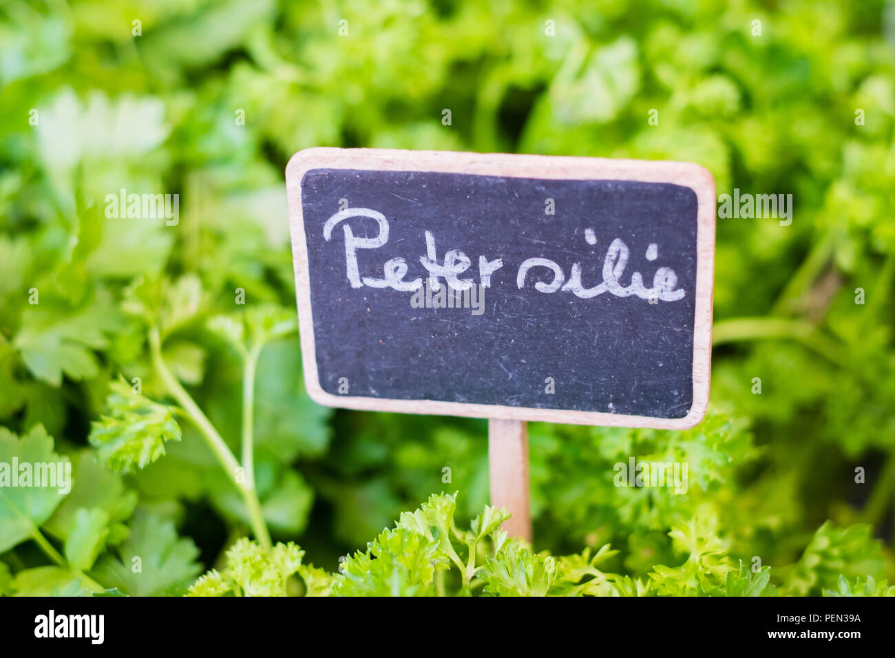 Parsley (german: Petersilie) sign closeup on food market Stock Photo ...