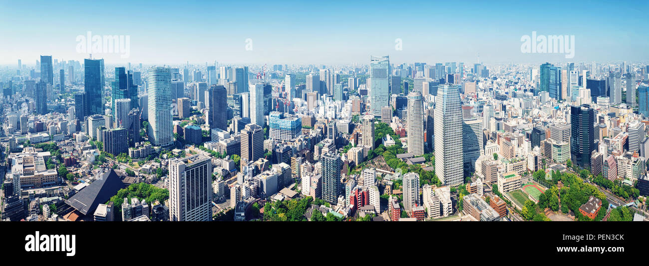panoramic view to the Tokyo, Japan from air Stock Photo - Alamy
