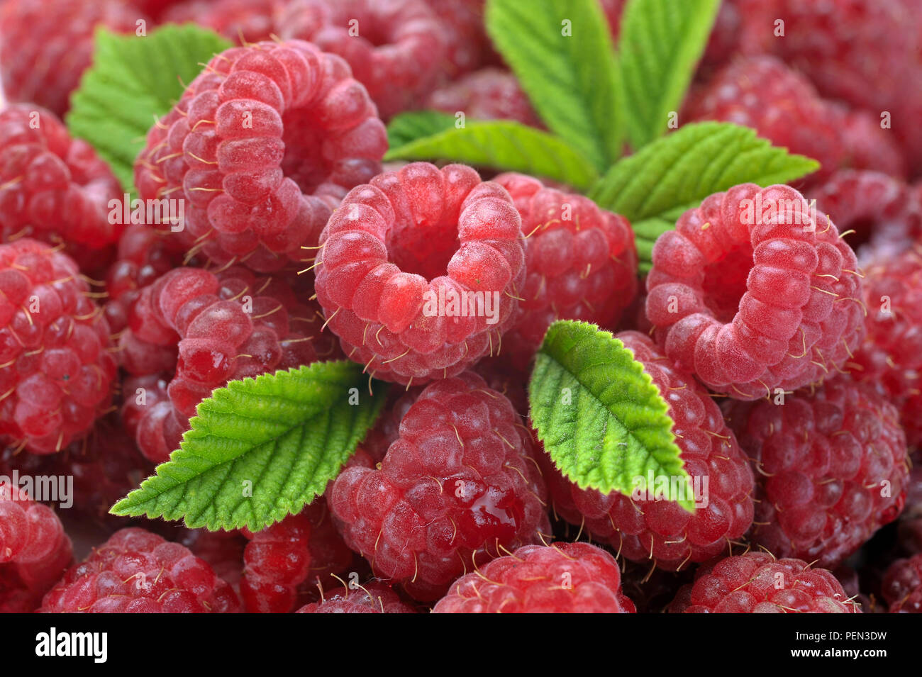 Considerable quantity hi-res stock photography and images - Alamy