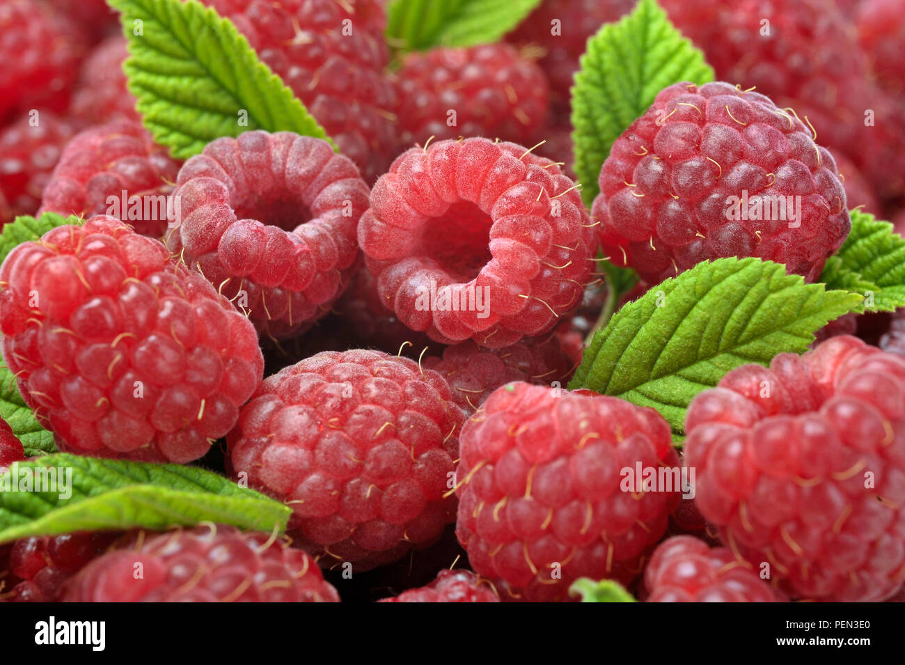 Considerable quantity hi-res stock photography and images - Alamy