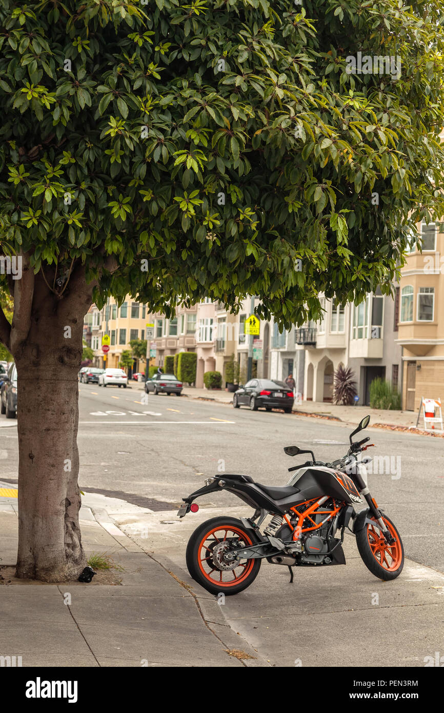 Victorian box tree hi-res stock photography and images - Alamy