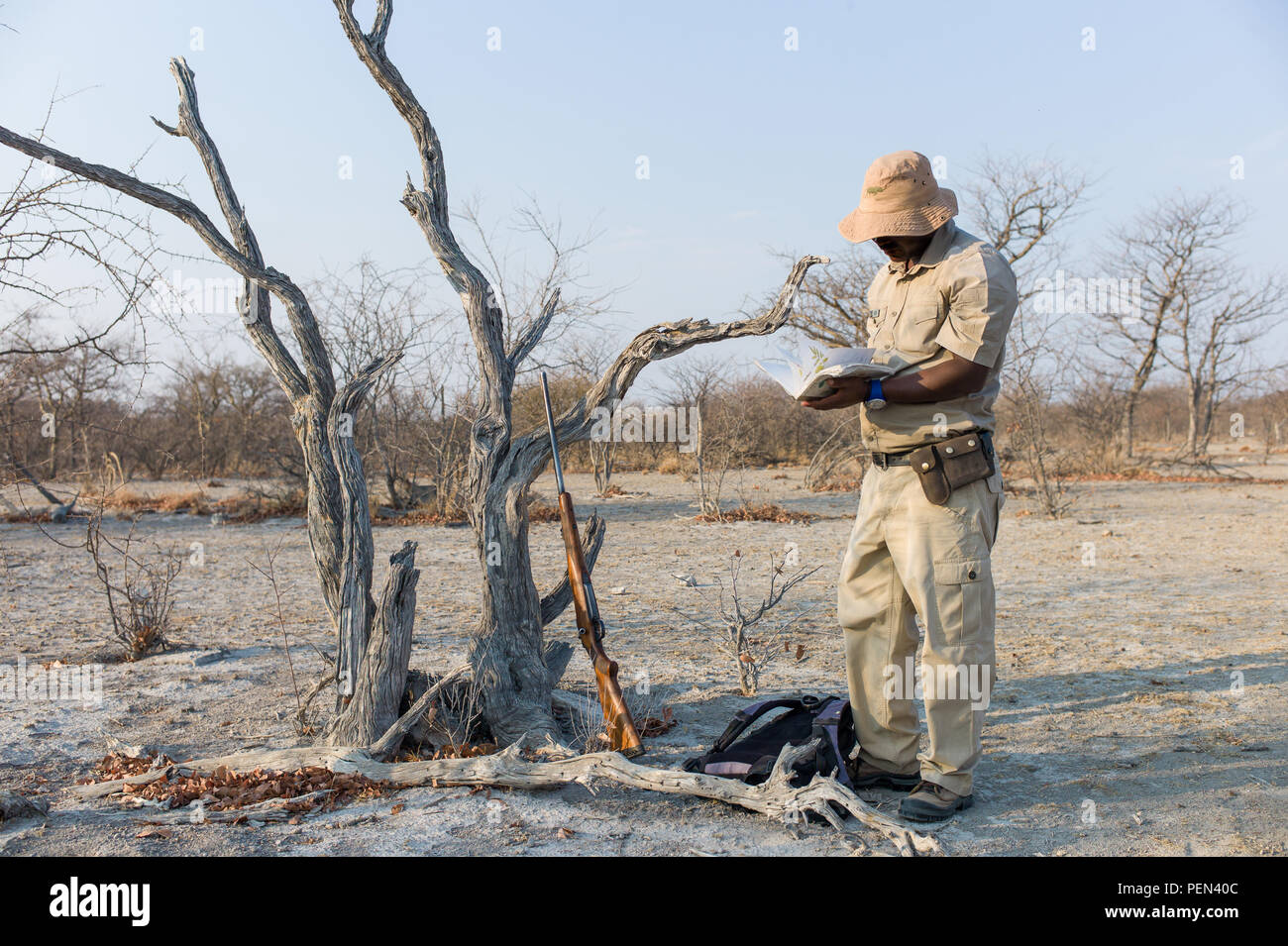 A ranger guides a bush walk and identifies trees in Ongava Game Reserve ...