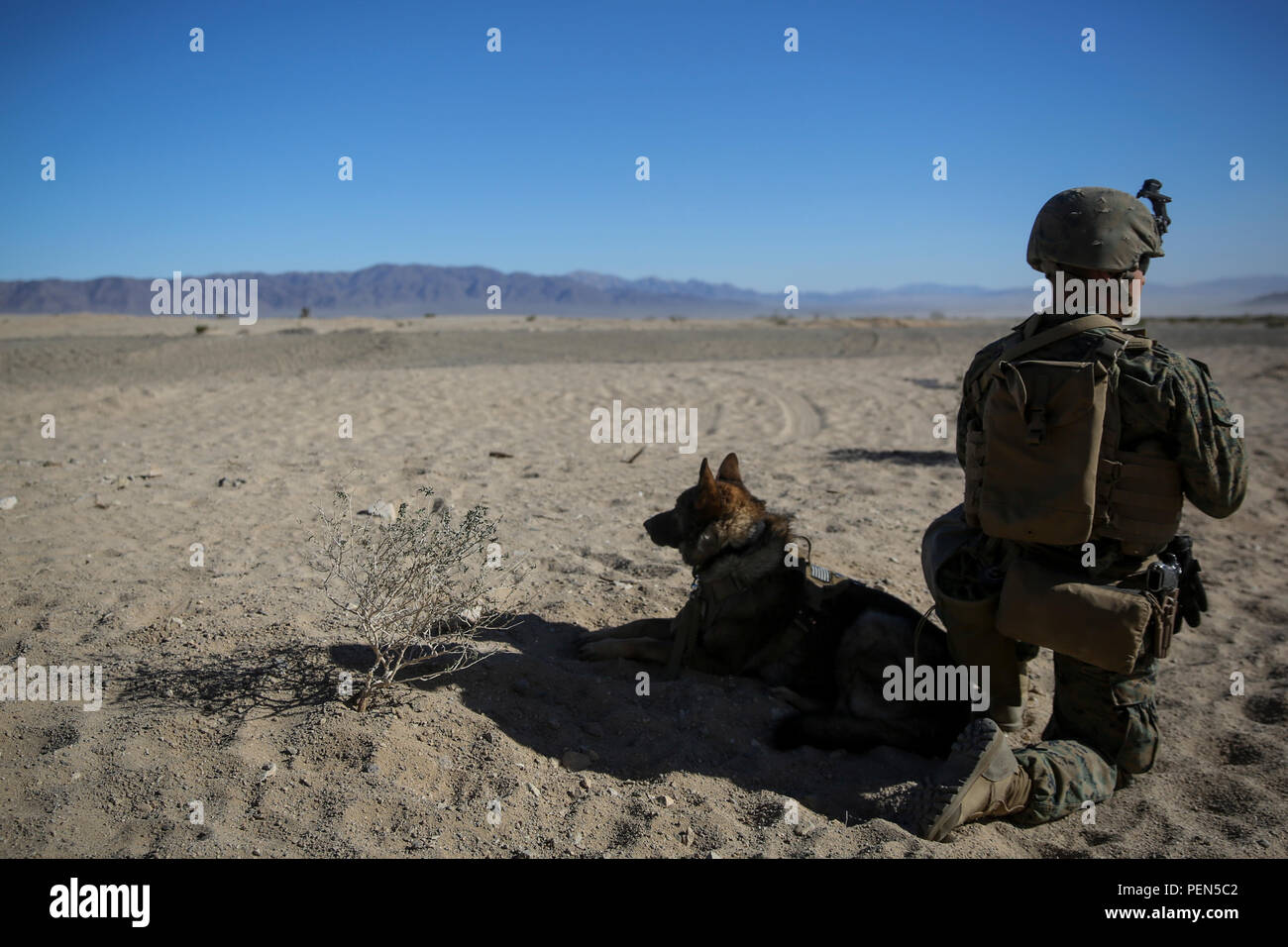 Lance Cpl. David Wadleigh, a military working dog handler and Nicky, a ...
