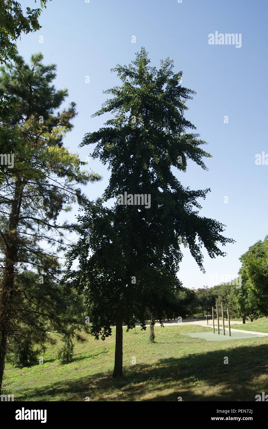 parc en France Stock Photo - Alamy