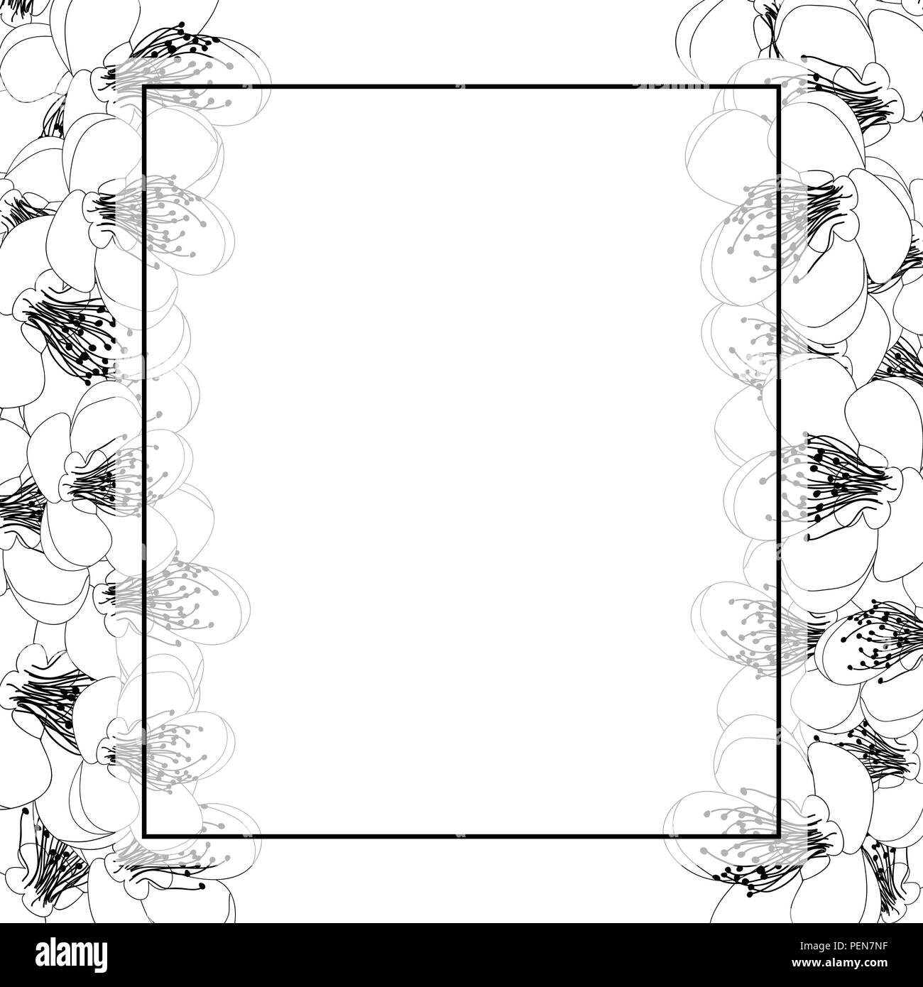 Momo Peach Flower Blossom Banner Card Border Outline. Vector ...