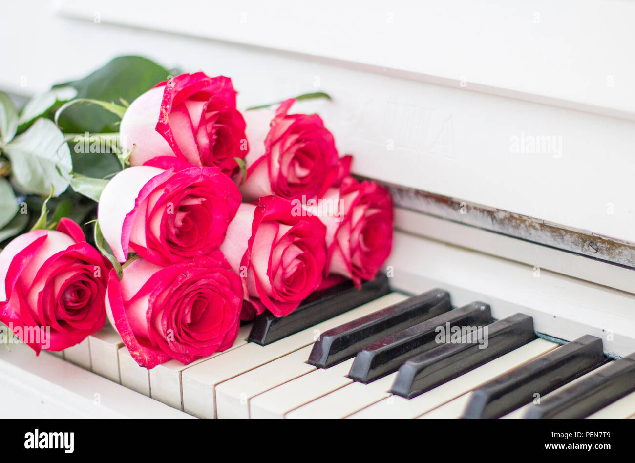 Luxury red roses on a piano. Bouquet of red roses and piano keys Stock ...