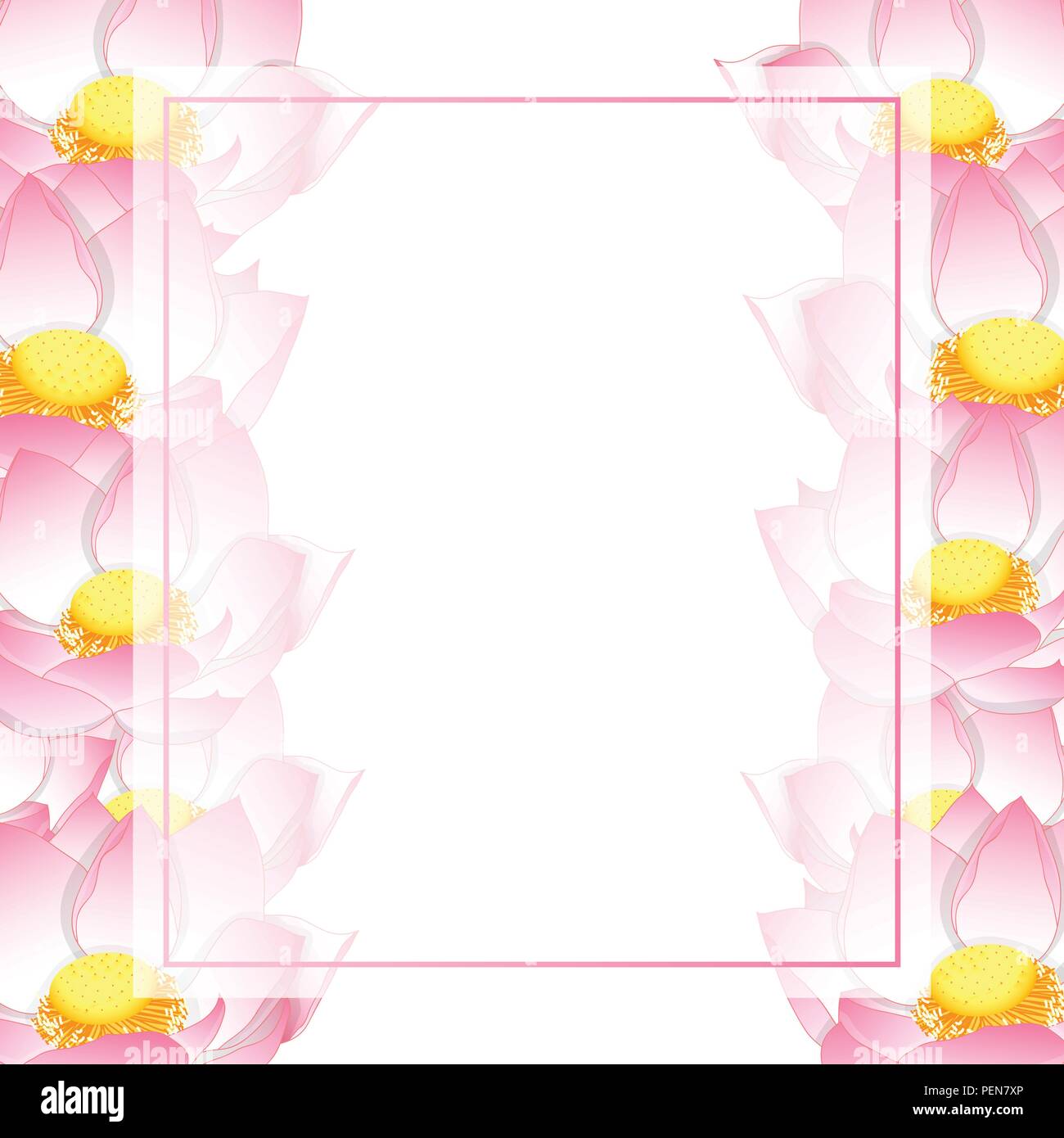 Pink Indian lotus Banner Card Border. Nelumbo nucifera,sacred lotus ...