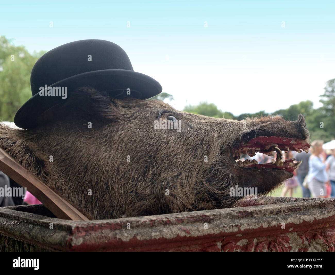 Wild boar stall hi-res stock photography and images - Alamy