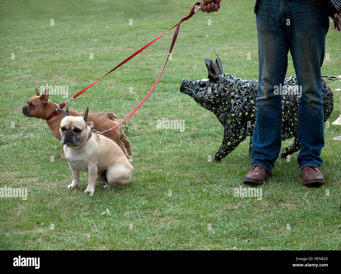 An ornamental pig with two dogs at Firle Vintage Fair Stock Photo - Alamy