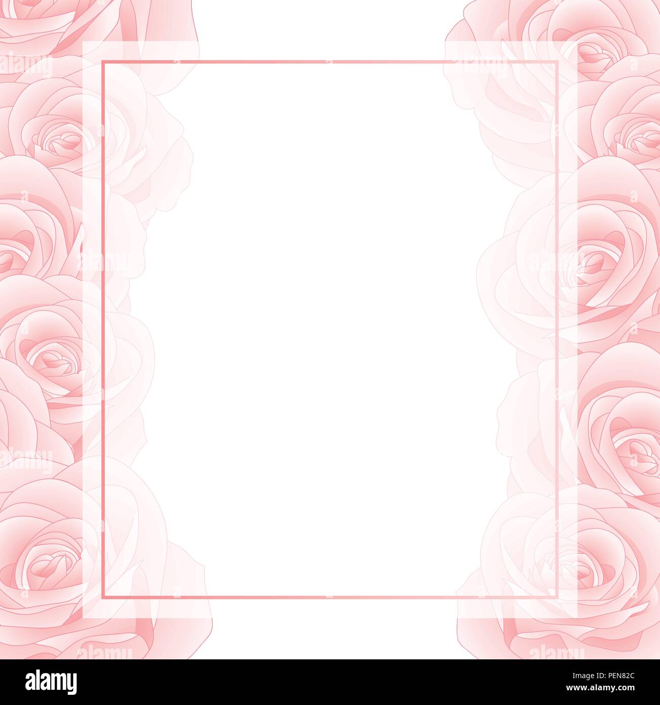 Beautiful Pink Rose Banner Card Border - Rosa isolated on White ...