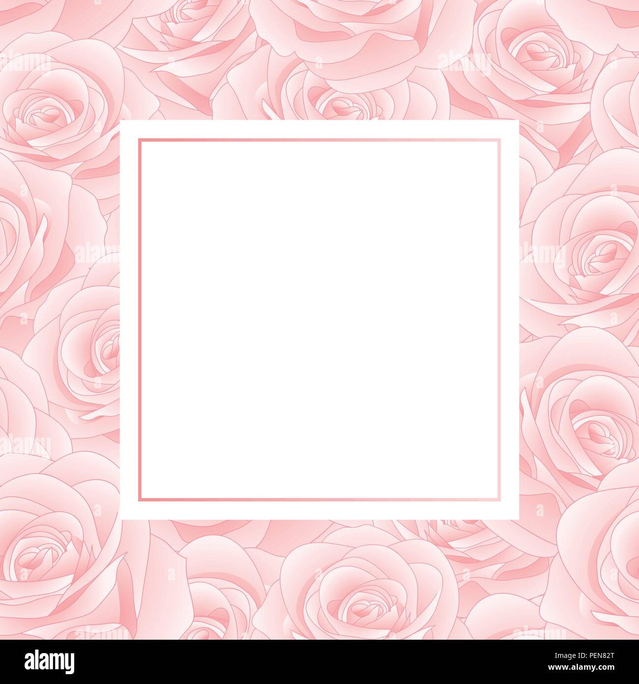 Beautiful Pink Rose - Rosa Banner Card. Valentine Day. Vector ...
