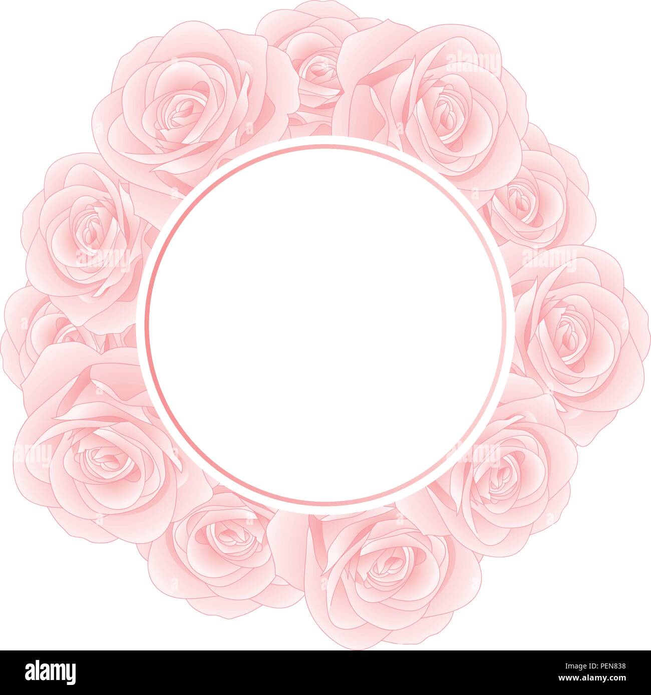 Beautiful Pink Rose Banner Wreath - Rosa isolated on White Background ...