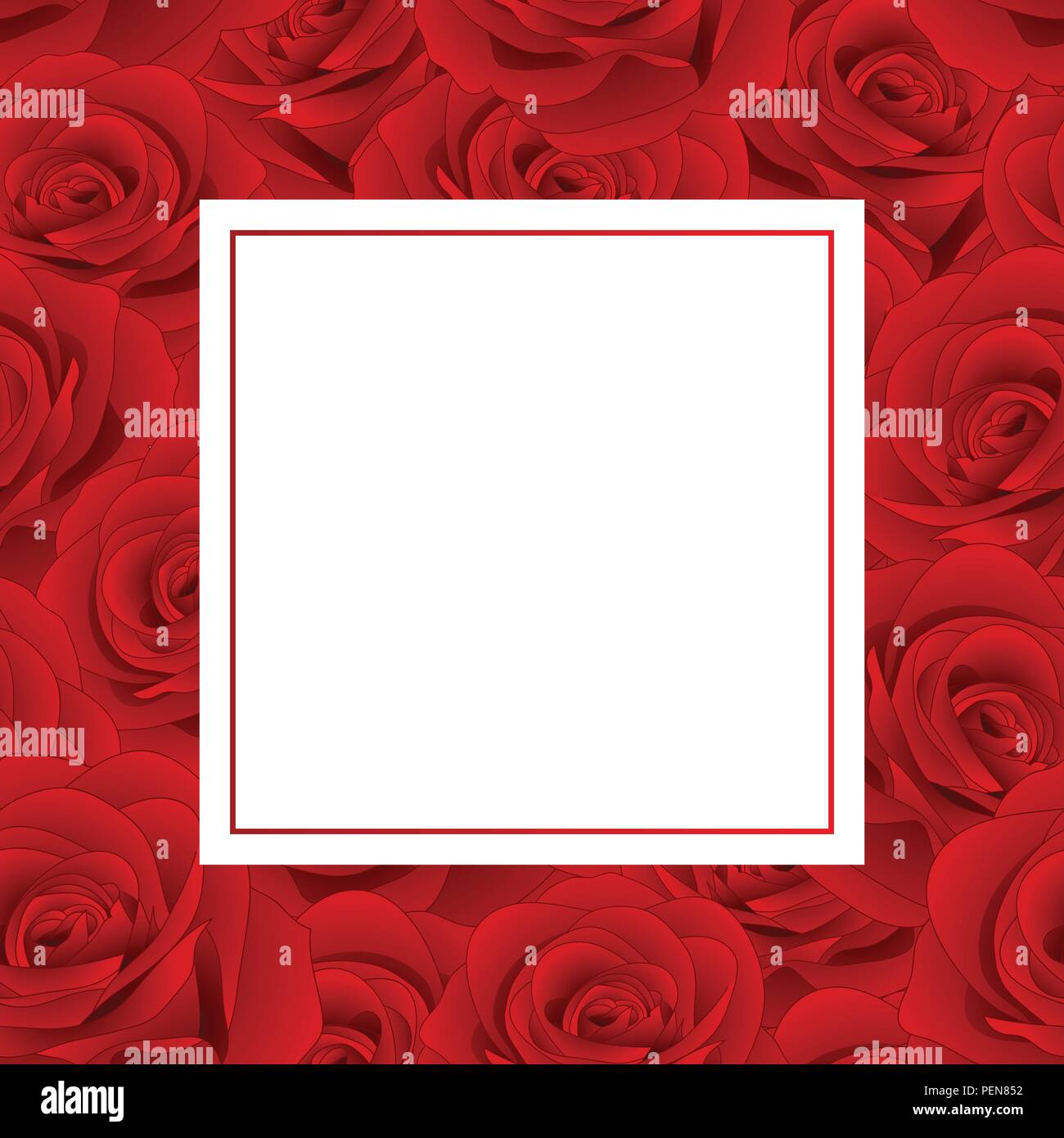 Beautiful Red Rose - Rosa Banner Card. Valentine Day. Vector ...