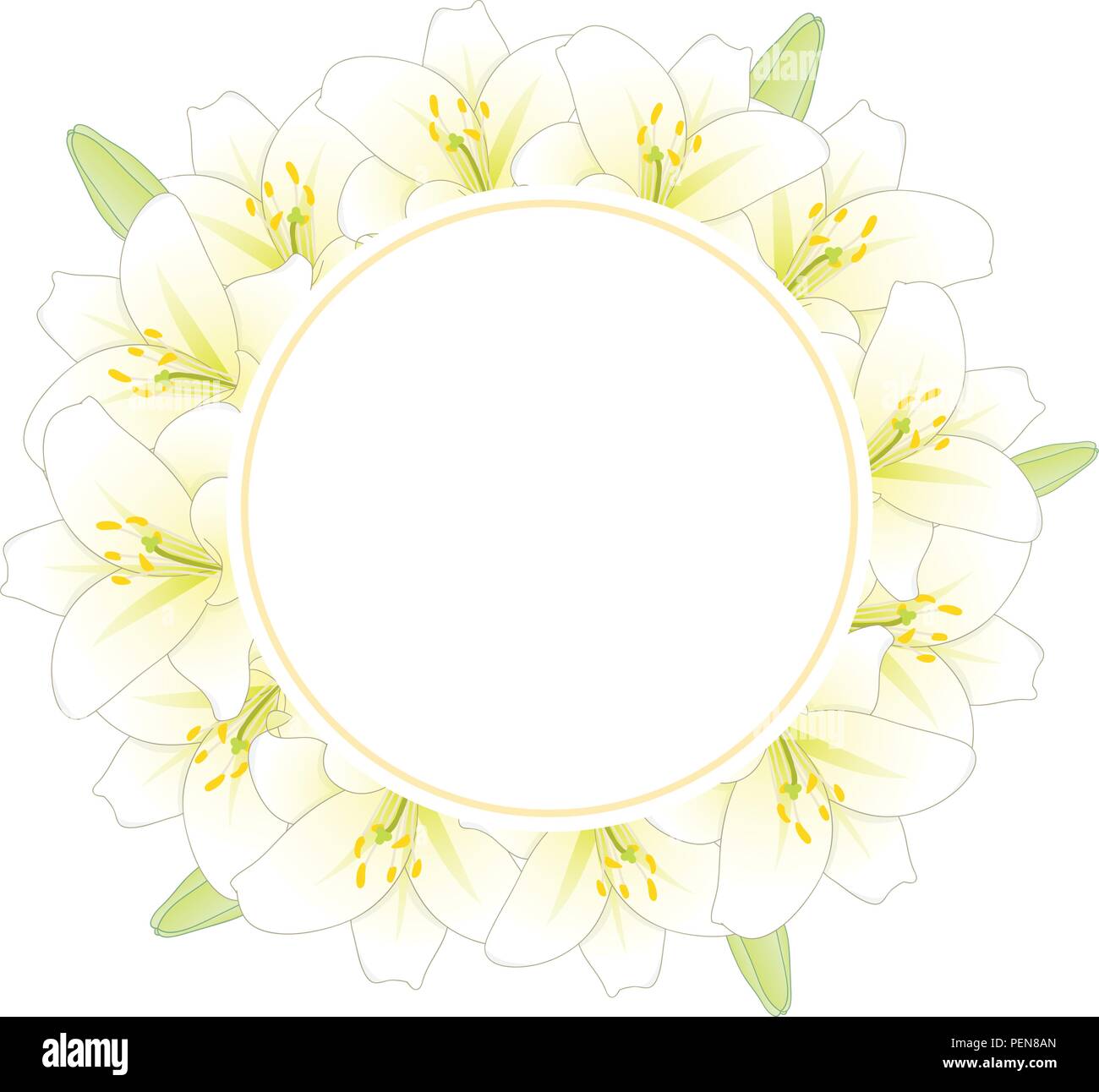 White Lily Flower Banner Wreath. Vector Illustration Stock Vector Image ...