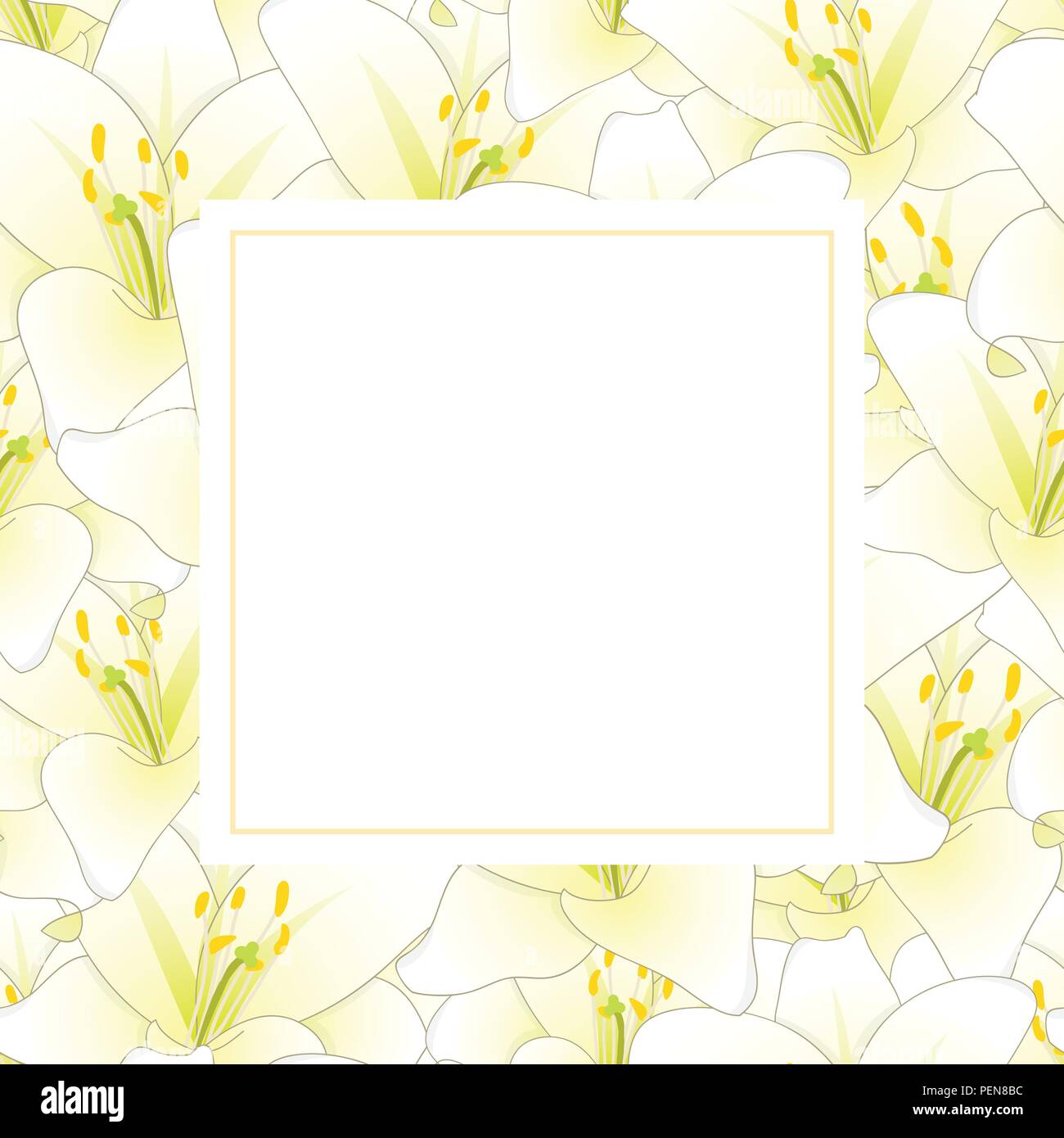 White Lily Flower Banner Card. Vector Illustration Stock Vector Image ...