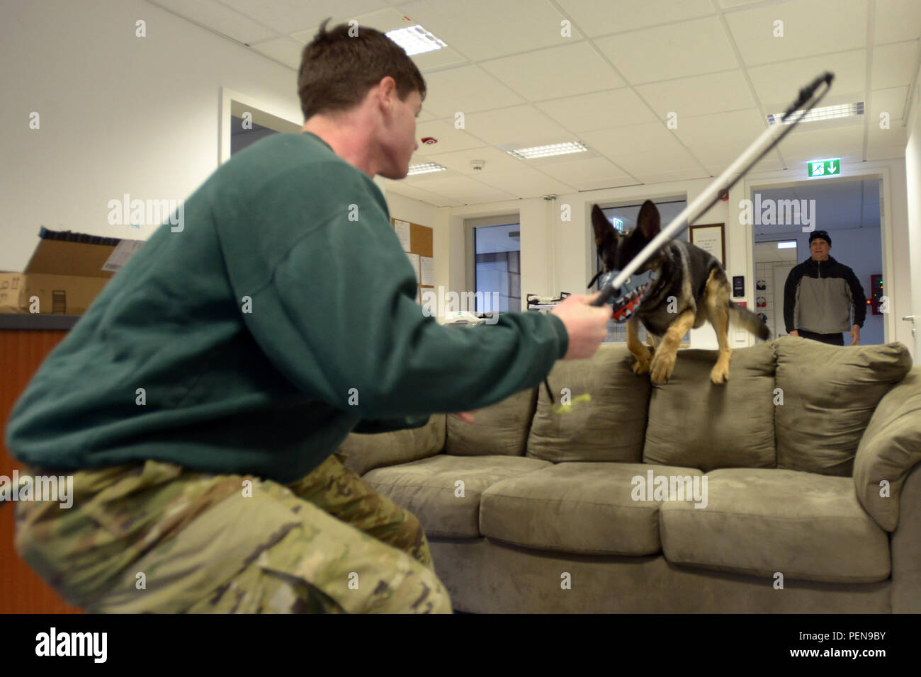 U.S. military working dogs assigned to 92nd Military Police Company ...