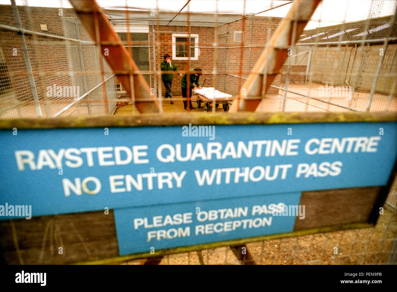 Raystede rescue centre hi-res stock photography and images - Alamy