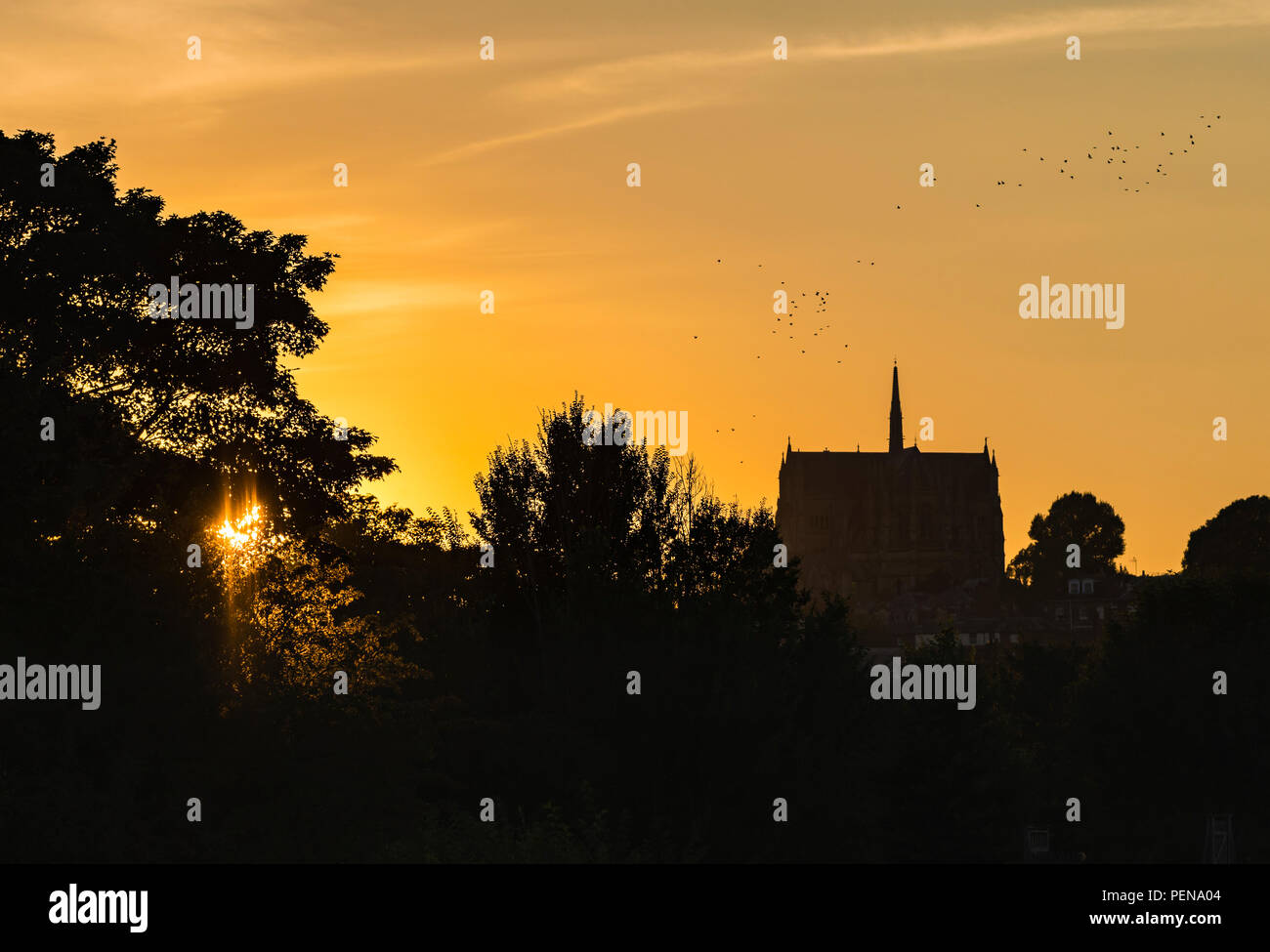 View of the sunset visible through trees with a cathedral and trees ...