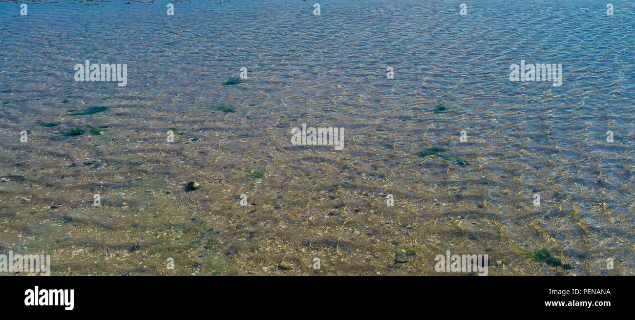 Sea puddle hi-res stock photography and images - Alamy