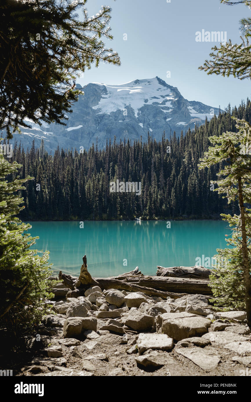 Beautiful Lake view in Canada Stock Photo - Alamy