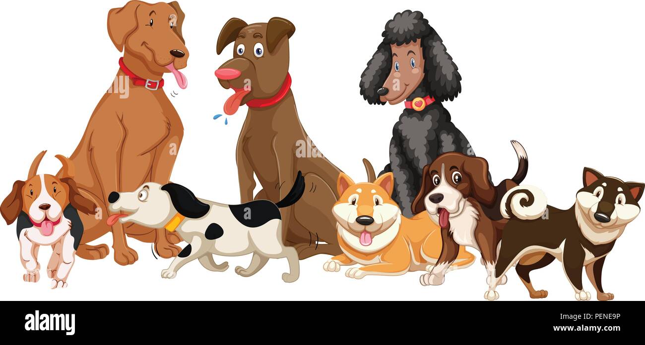 Set of various dogs illustration Stock Vector Image & Art - Alamy